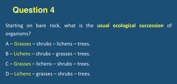 Speed Dating: An Interactive Strategy - bethskelton.com